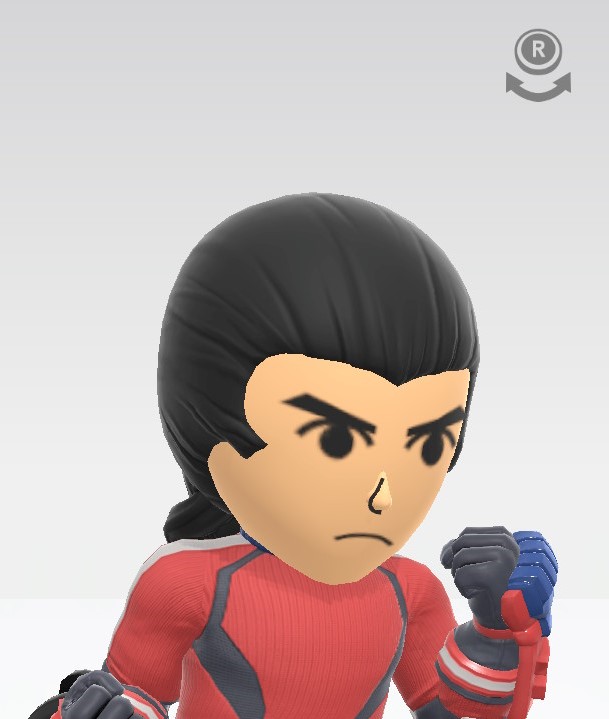 File:SSBU Martial Artist Wig (M).jpg - SmashWiki, the Super Smash Bros ...