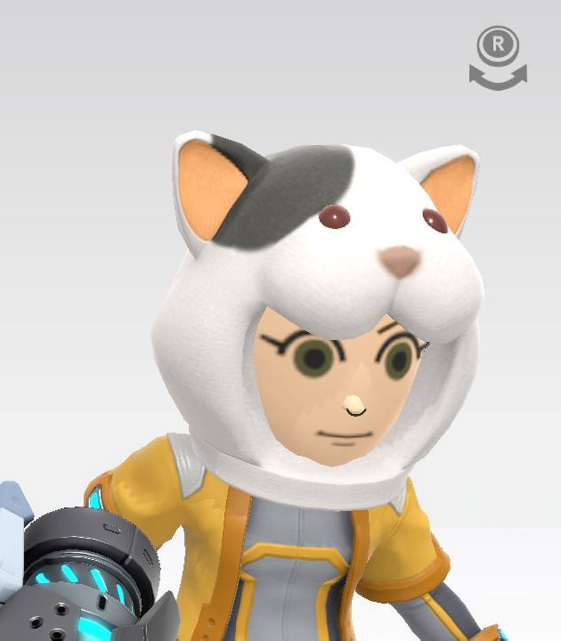 File:SSBU Cat Hat (F).jpg - SmashWiki, the Super Smash Bros. wiki