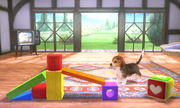 Nintendogs (universe) - SmashWiki, the Super Smash Bros. wiki