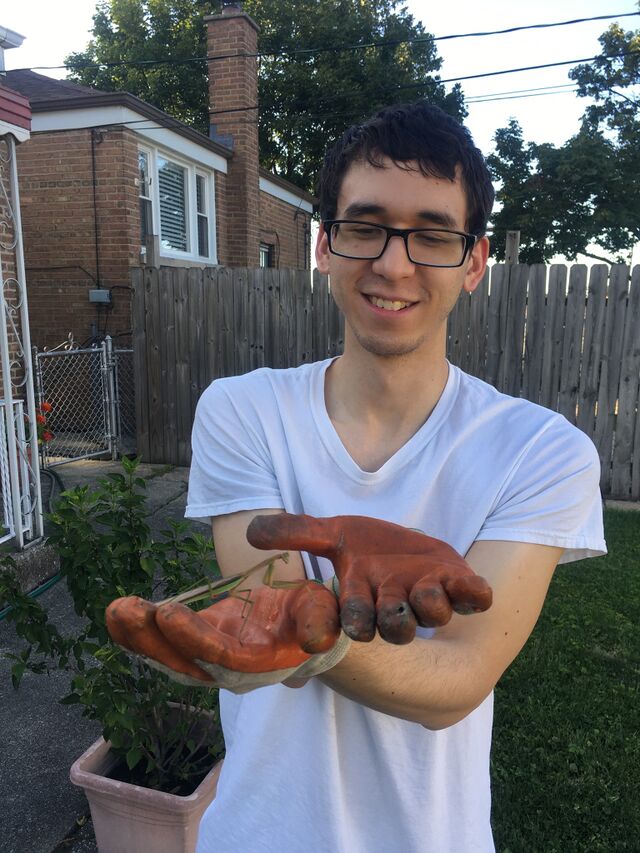 Smasher:Azzu - SmashWiki, the Super Smash Bros. wiki