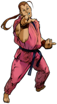 List of spirits (Street Fighter series) - SmashWiki, the Super Smash ...