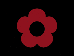 Olimar (SSBB) - SmashWiki, the Super Smash Bros. wiki