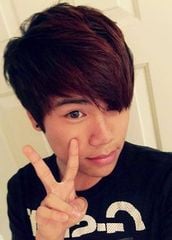 Category:Sheik players (SSB4) - SmashWiki, the Super Smash Bros. wiki