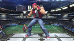 Terry (SSBU) - SmashWiki, the Super Smash Bros. wiki