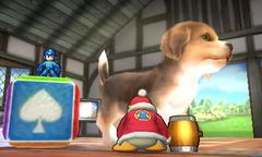 Category:Nintendogs universe - SmashWiki, the Super Smash Bros. wiki