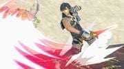 Chrom (SSBU) - SmashWiki, the Super Smash Bros. wiki