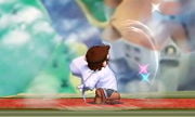 Super Sheet - SmashWiki, the Super Smash Bros. wiki