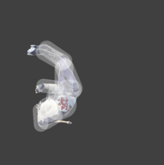 Category:Hitbox images (Sheik SSBU) - SmashWiki, the Super Smash Bros. wiki