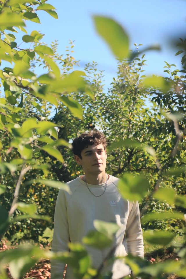 Smasher:Cee - SmashWiki, the Super Smash Bros. wiki