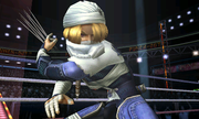 Sheik (SSB4) - SmashWiki, the Super Smash Bros. wiki