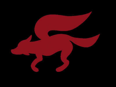 Fox (SSBB) - SmashWiki, the Super Smash Bros. wiki