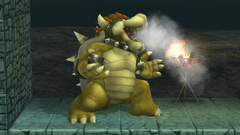 Category:Idle poses (SSBB) - SmashWiki, the Super Smash Bros. wiki