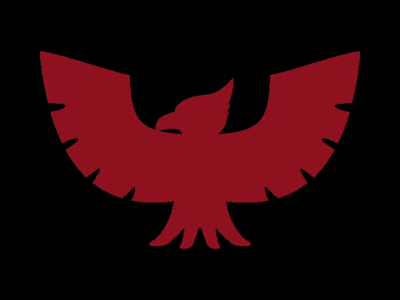 Captain Falcon (SSBB) - SmashWiki, the Super Smash Bros. wiki